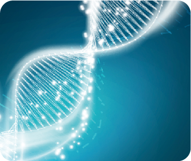 Bloomcolla™ Recombinant Human Collagen III - Freshine Chem